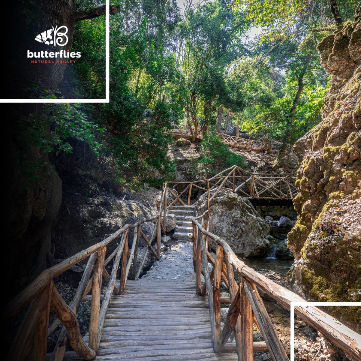 Butterfly Valley Rhodes | Travel 4 Baby