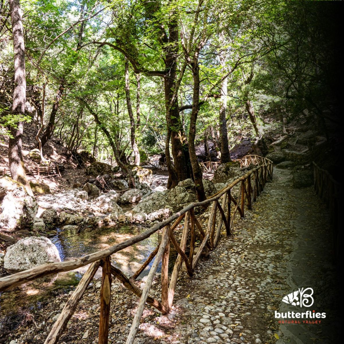 Butterfly Valley Rhodes | Travel 4 Baby